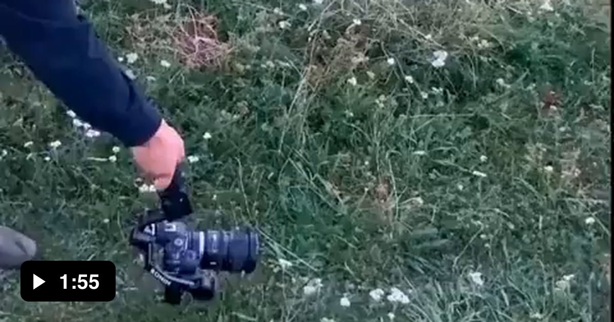 Nature videography - 9GAG