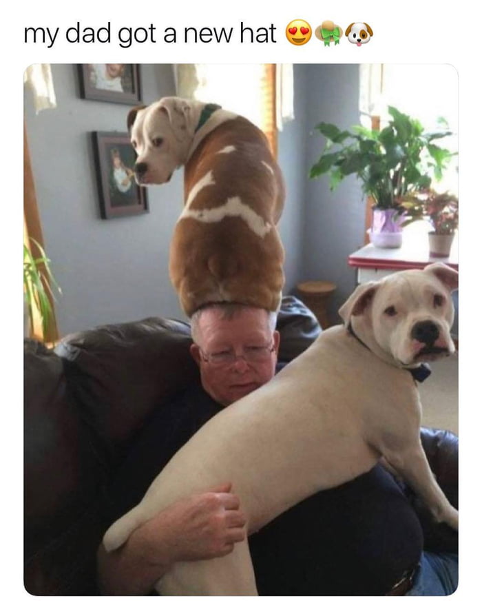 Dad's hat looks a lil weird - 9GAG