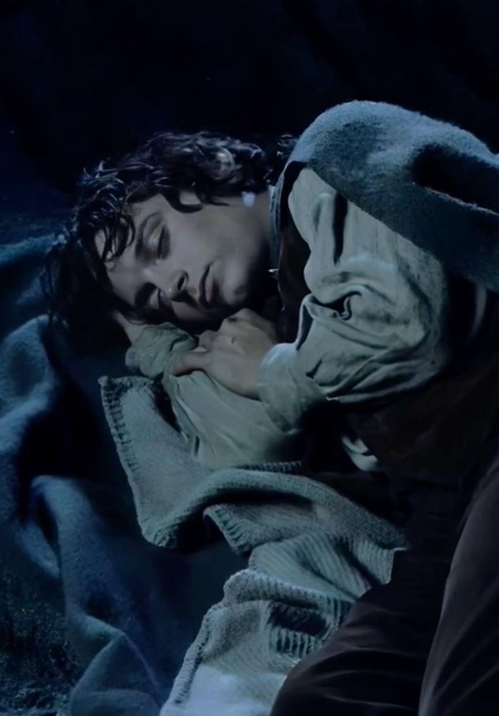 Fellow Frodo lovers, here is a picture of the cute little guy sleeping ...