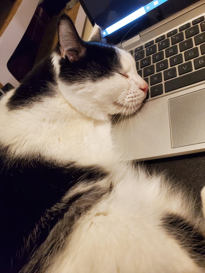 "Zzzzzzzzzzz" (Softhair engineer) - 9GAG