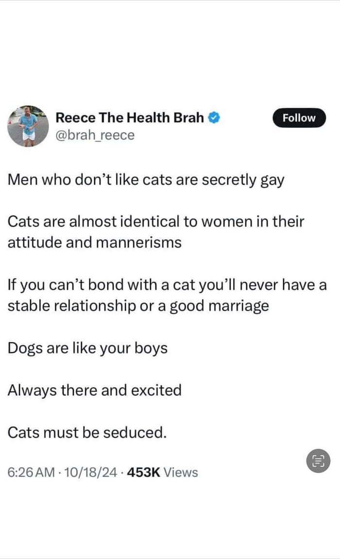 NSFW viewers like cats - 9GAG