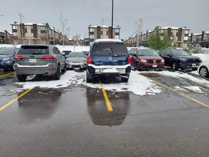 Two dum dummies with big boy vans with lots of room for their dum dummy ...