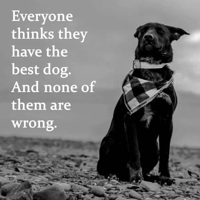 None of them - 9GAG