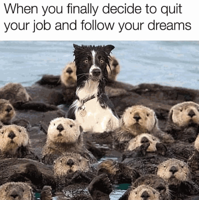 You just gotta lock in and be yourself - 9GAG