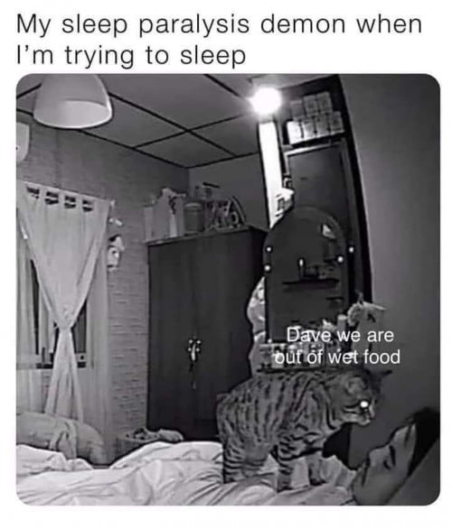 Sleep paralysis demon - 9GAG