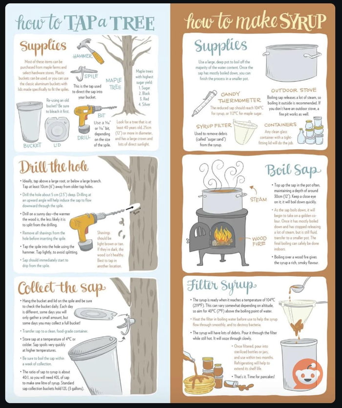 A Cool Guide on Tapping a Maple - 9GAG