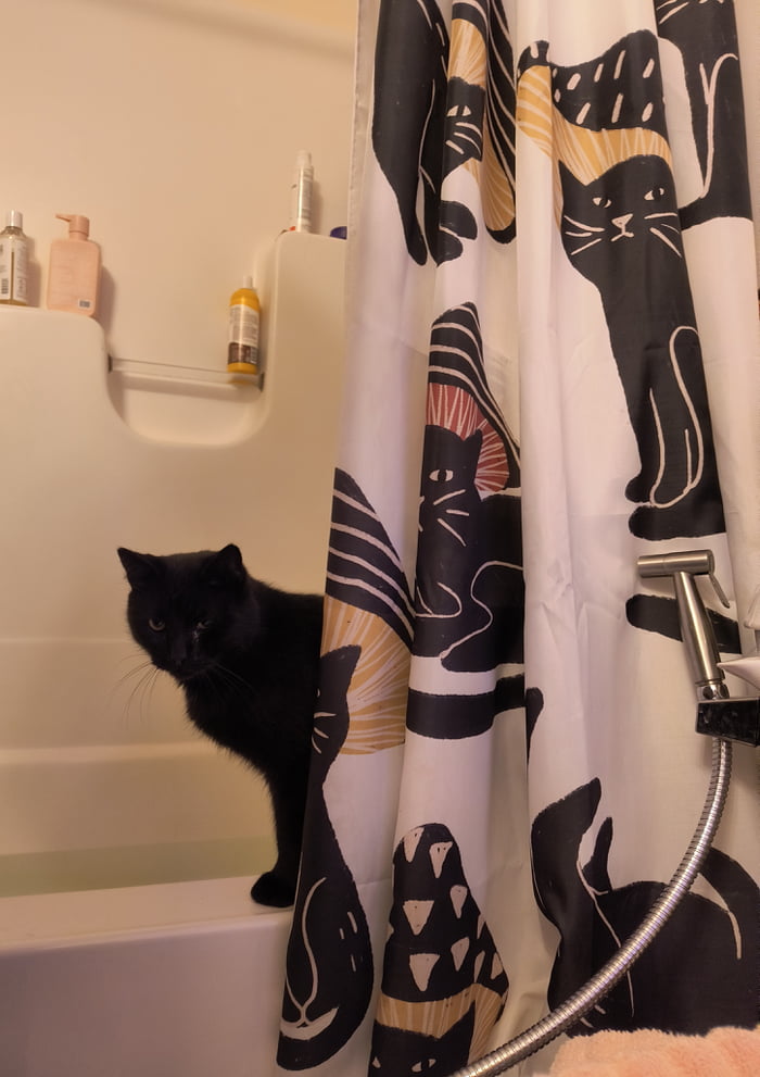 Batman loves the new shower curtain in his Batroom - 9GAG