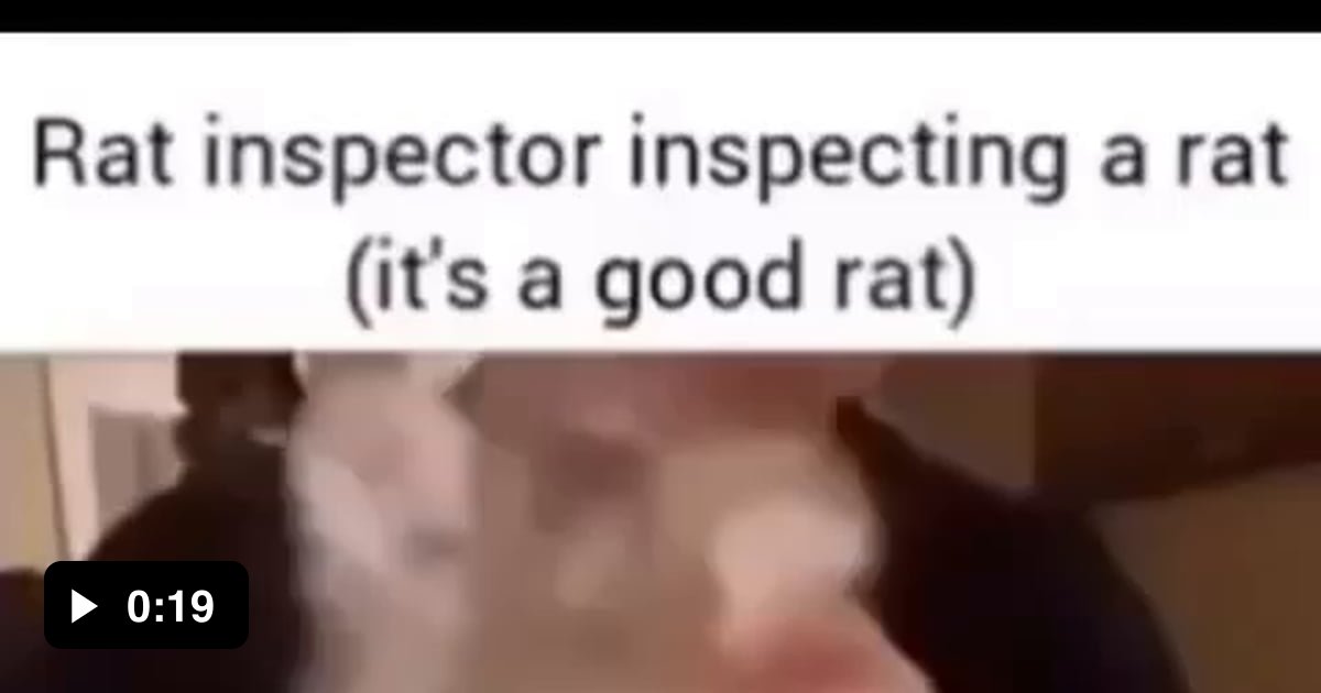 Rat inspector - 9GAG