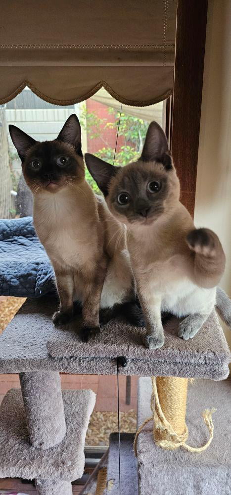 Another photo of the boys! - 9GAG