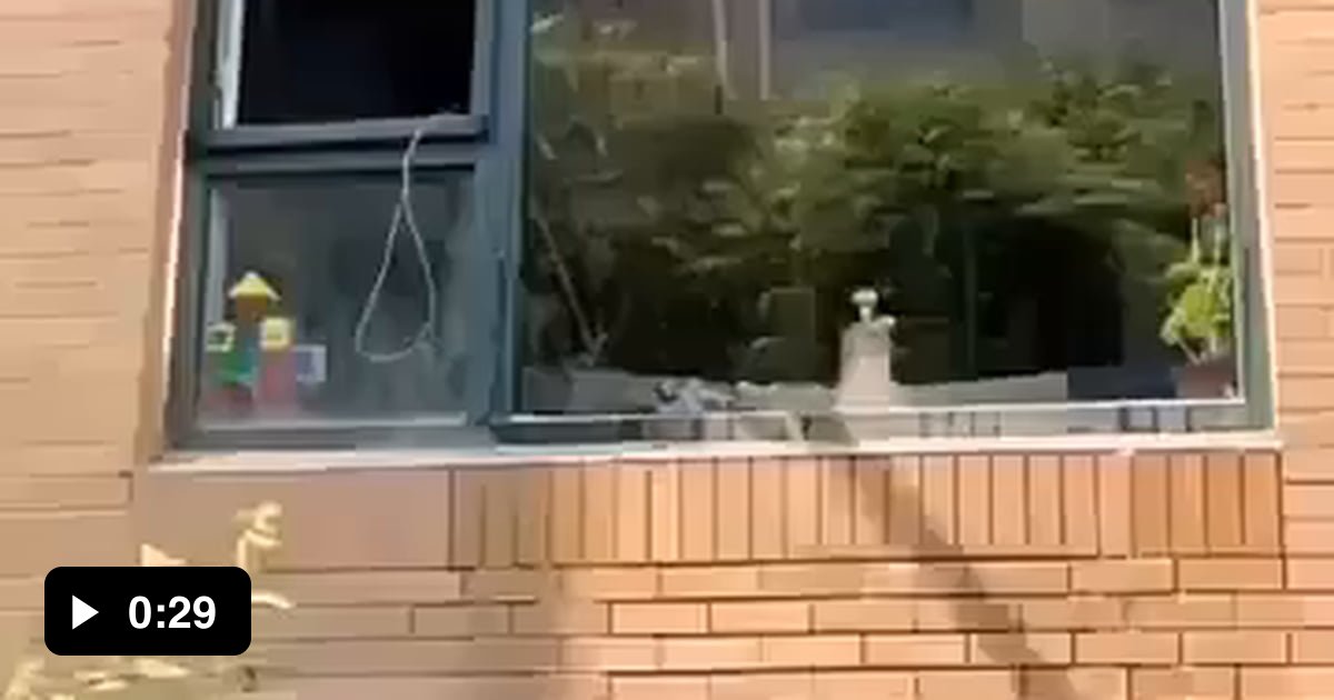 A Magnetic Window Cleaner In Action Making It Look Easy! - 9GAG