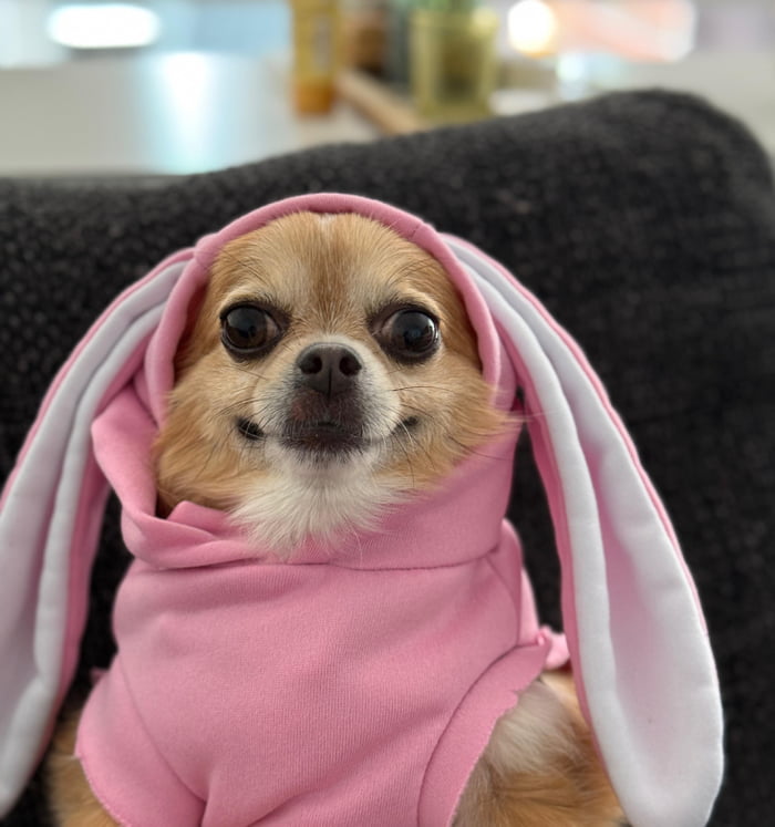 Happy Easter! - 9GAG