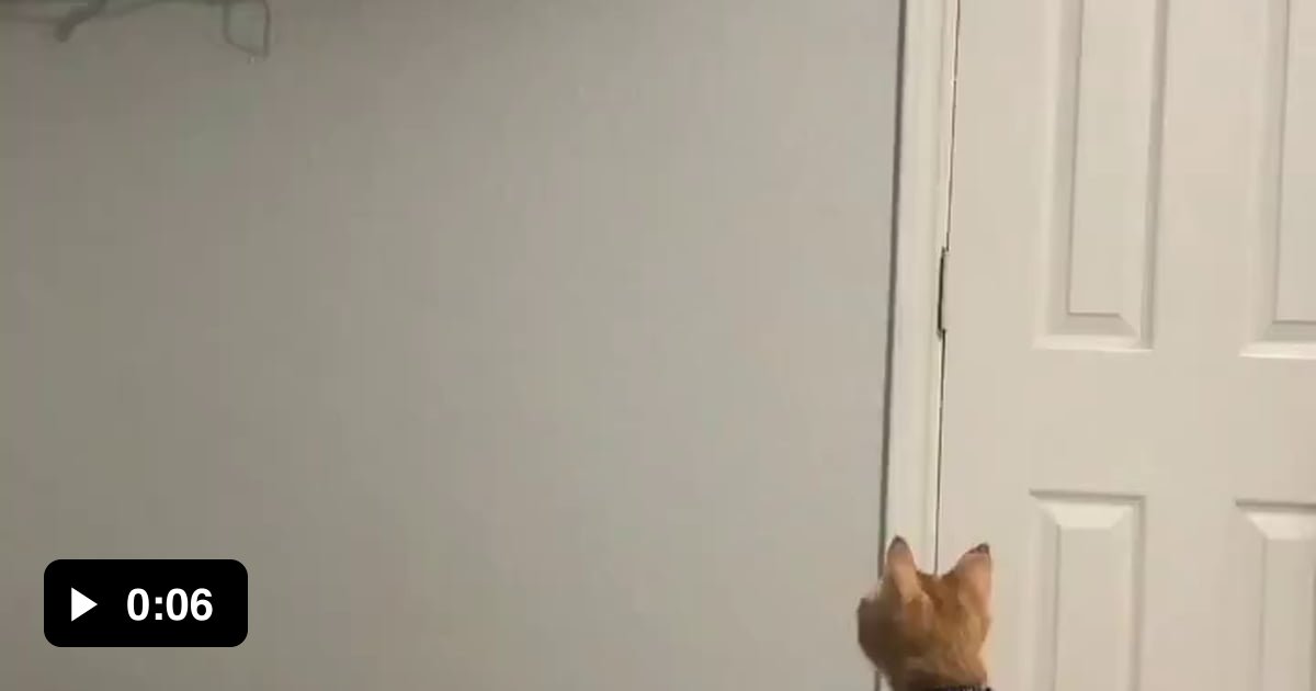 Calculated movements - 9GAG