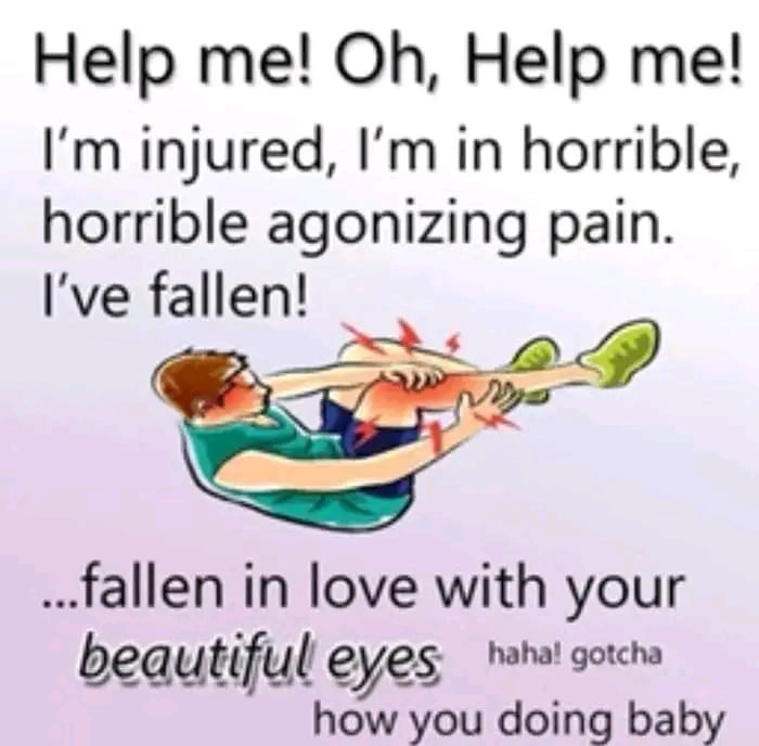 Insert hehe cat - 9GAG