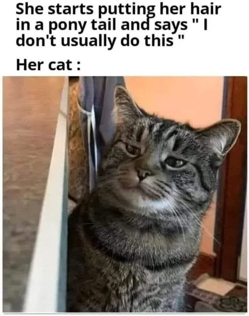 Her kitty - 9GAG