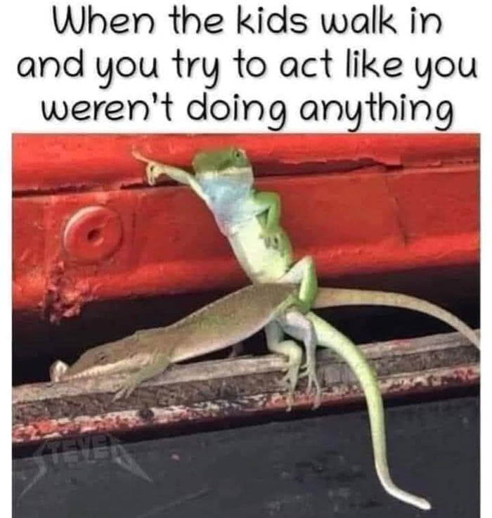 Acting normal - 9GAG