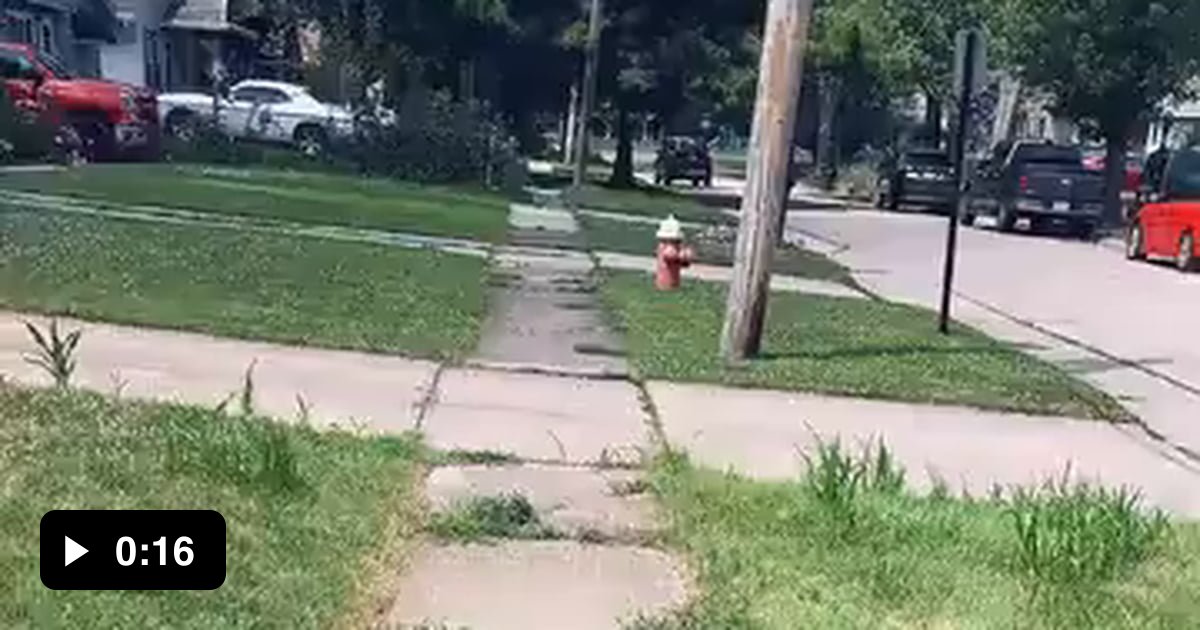 Leo pointing meme - 9GAG