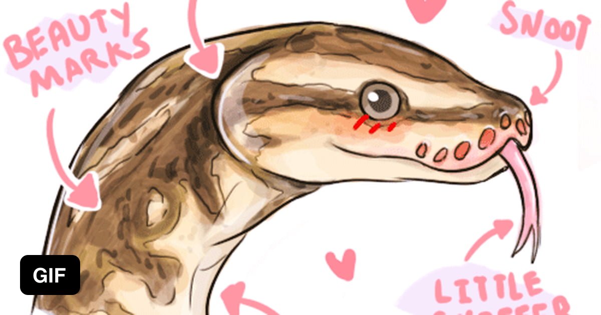 Snek is love, snek is life - 9GAG