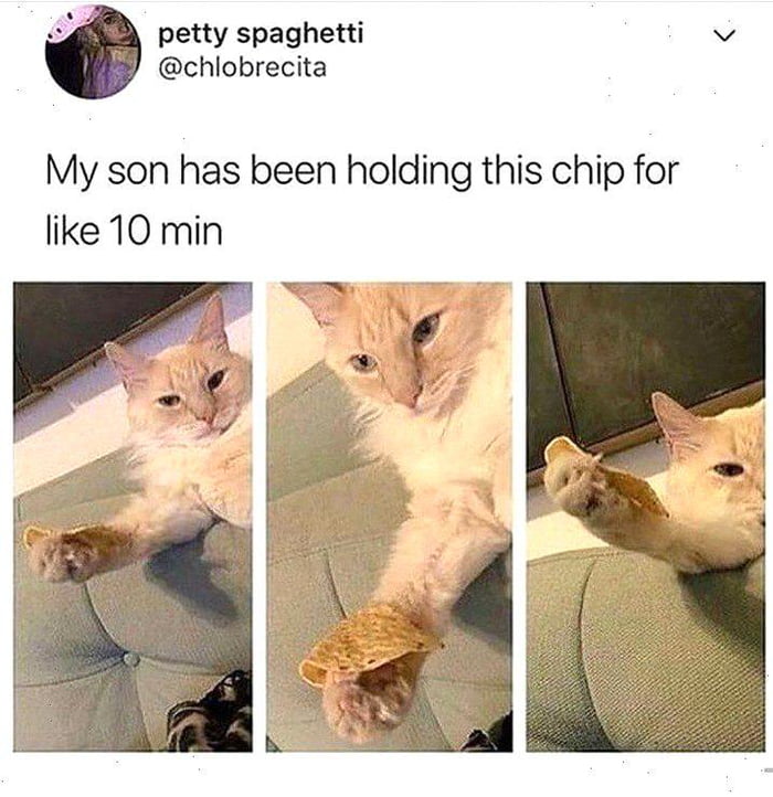 The holy chip - 9GAG