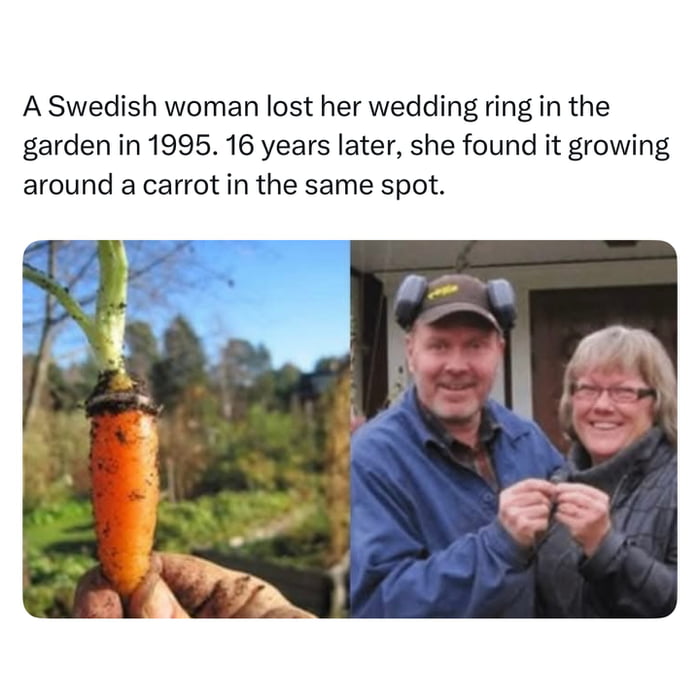 Lost her wedding ring in the garden, found it 16 years later on a ...