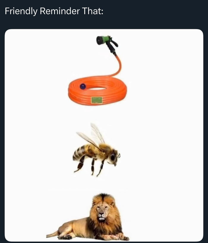 Friendly reminder that... - 9GAG