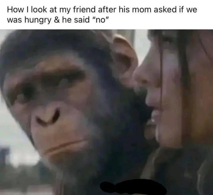 That look of utter betrayal - 9GAG