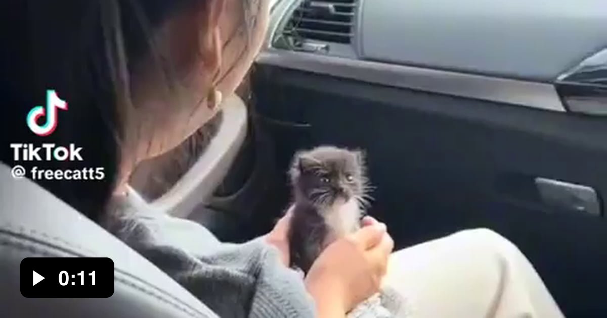 Pure cuteness overload - 9GAG