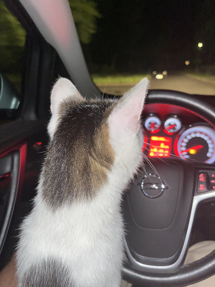 Your Uber driver has arrived - 9GAG