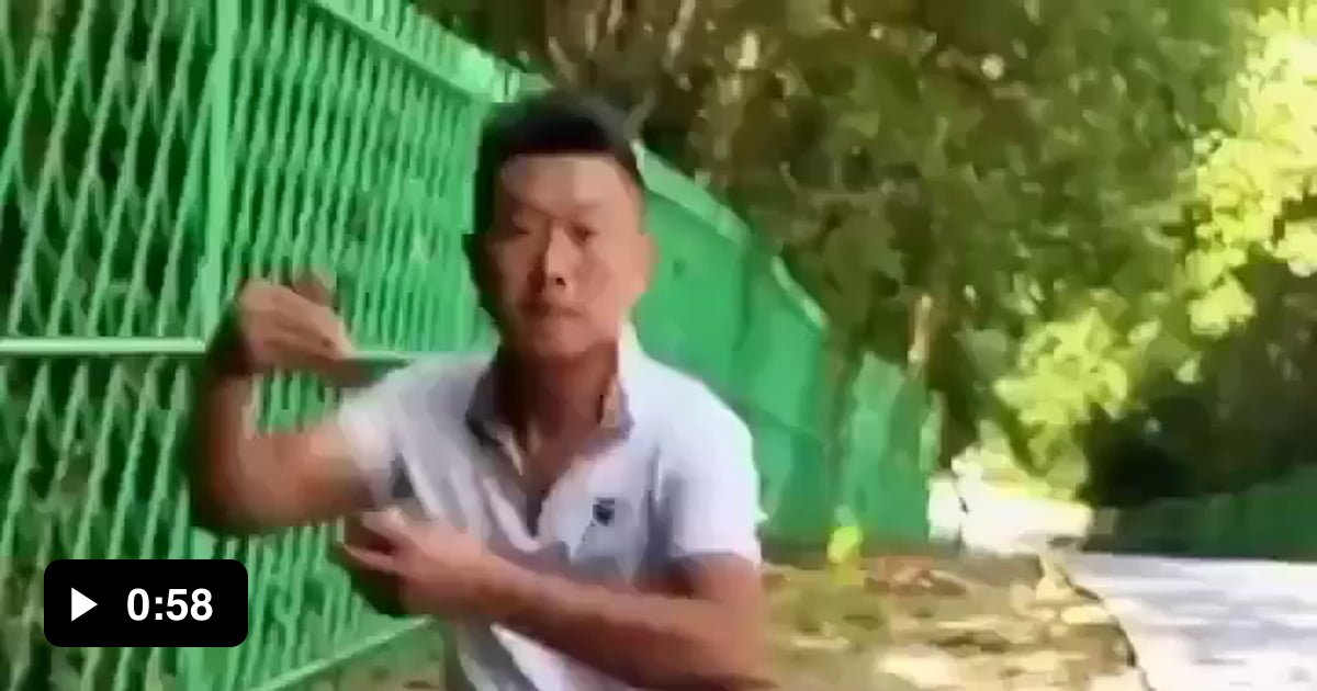 Ninja-level Card Throwing Skill - 9GAG