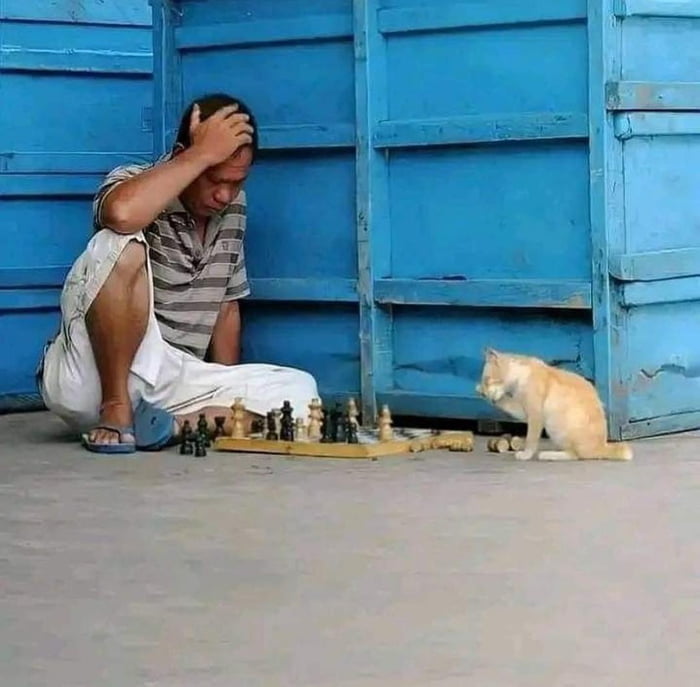 Chess Grandmaster - 9GAG