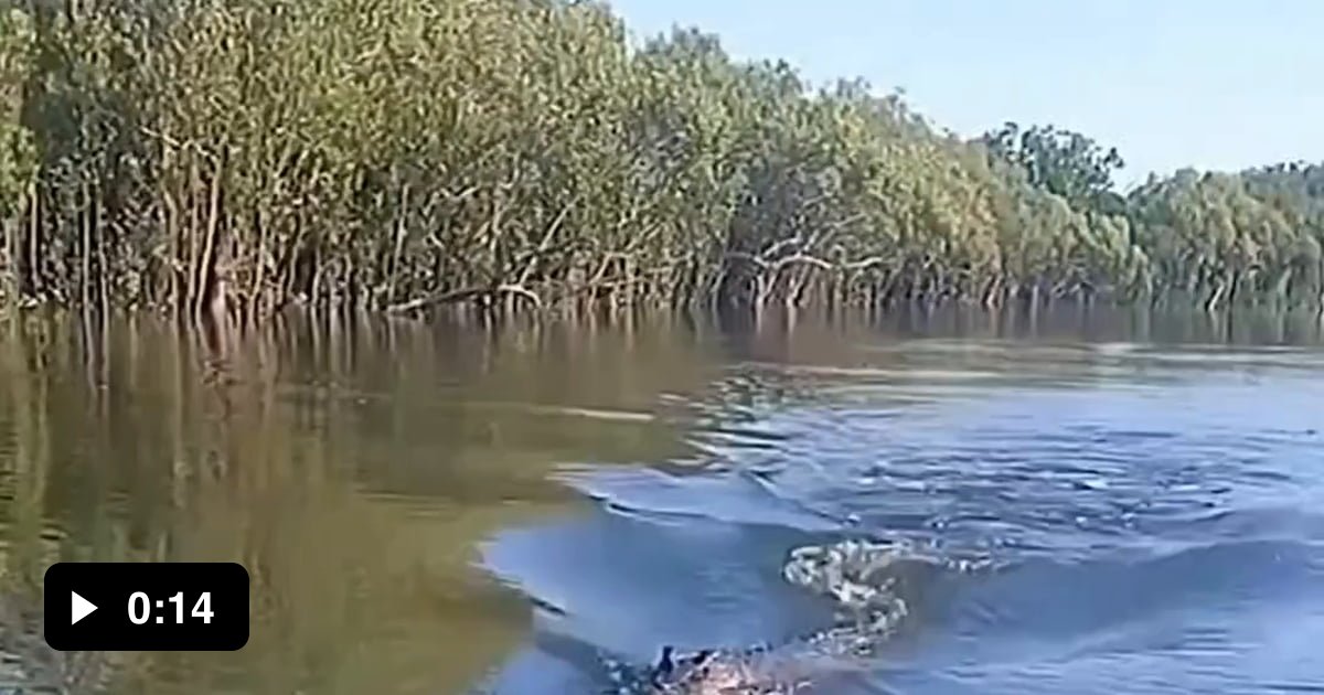 Gets me every darn time - 9GAG