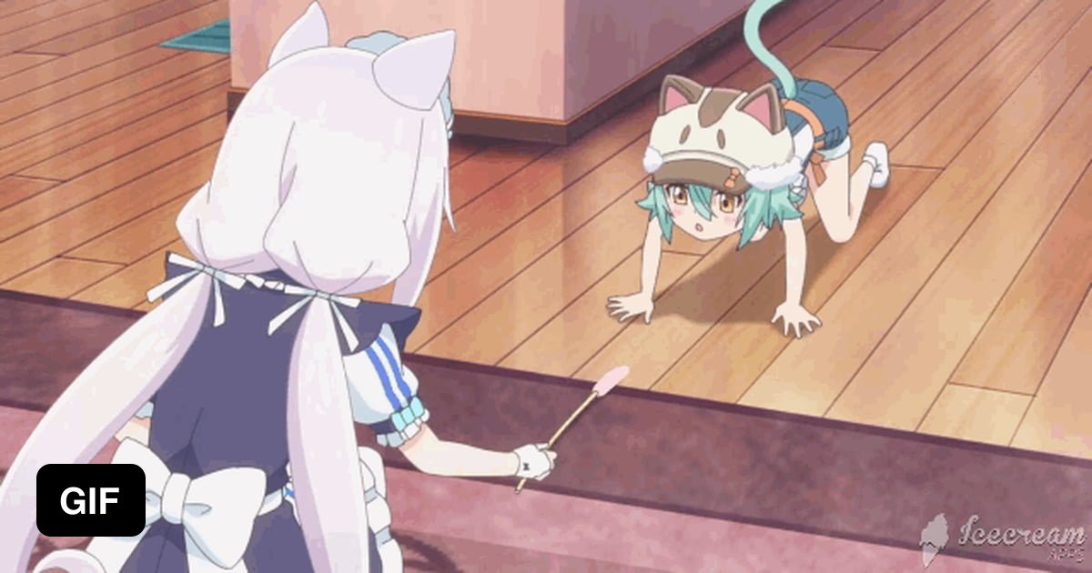 So, uhm... I watched Nekopara - 9GAG