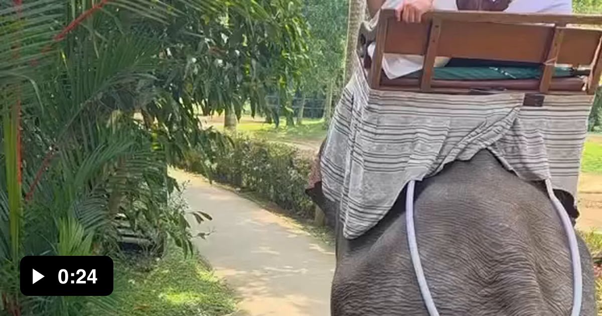 This is the real pee - 9GAG