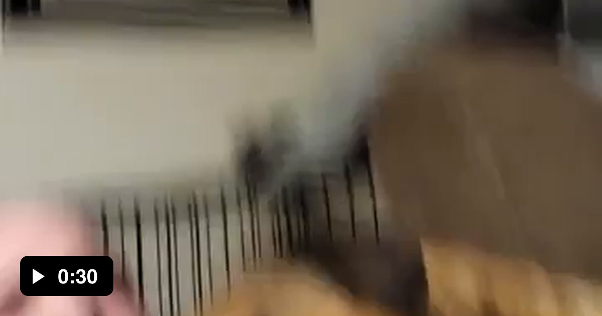 Dio gives the best hugs. - 9GAG