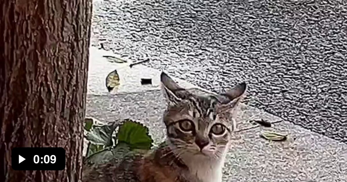 Pov : Damn u foo... - 9GAG