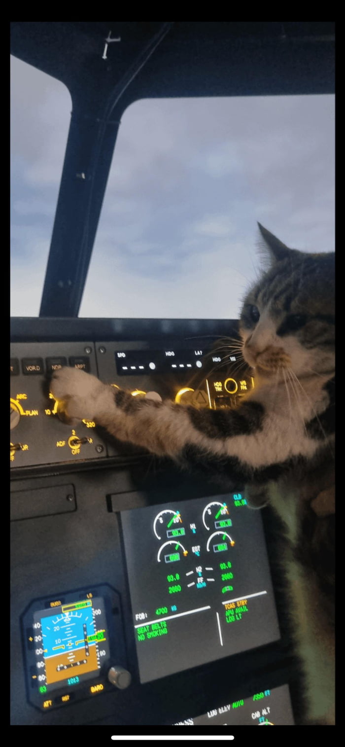 Commercial Pilot Cpt. Flooff - 9GAG