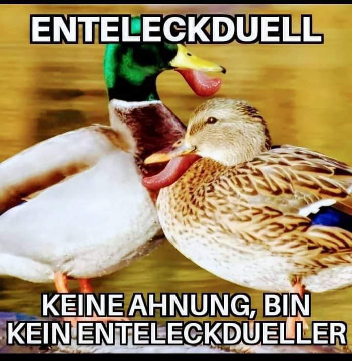 Die Ente ist nah, wir haben keine Verfassung, Ravioli sind da, NachrichtenPfosten halten keinen ...