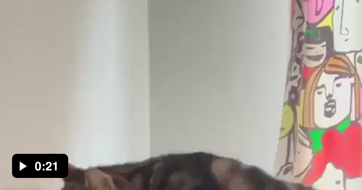 The way it’s cuddling so intensely is just too cute - 9GAG