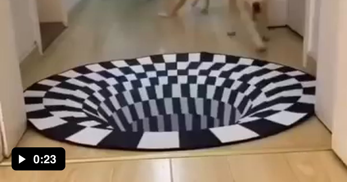 Funny reaction to depth illusion - 9GAG
