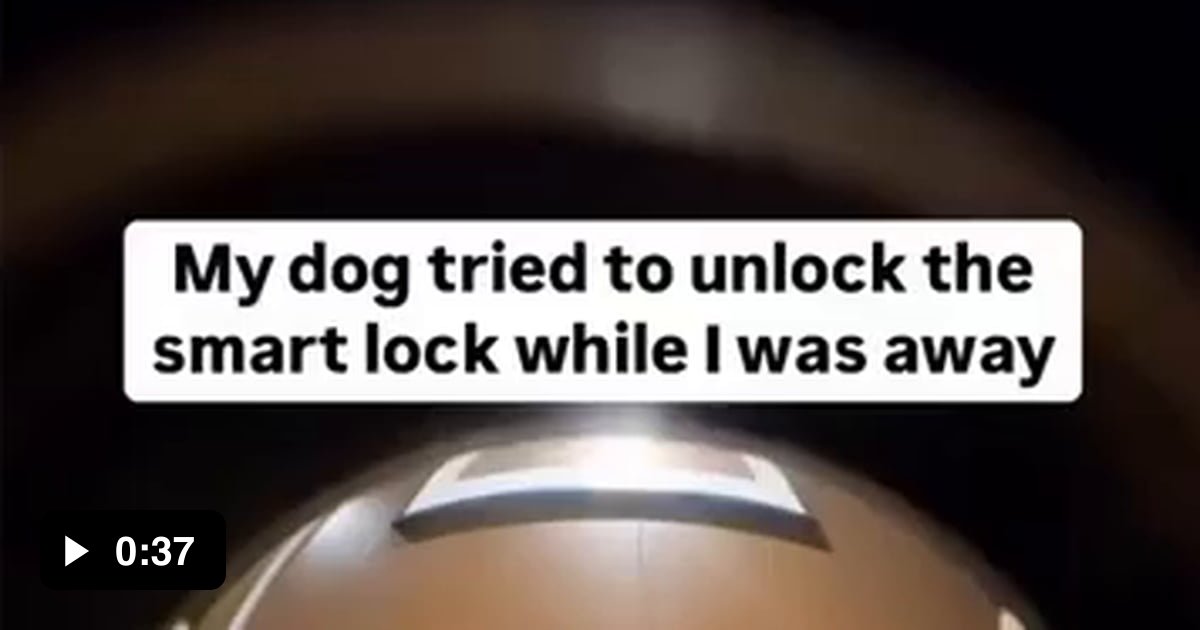 Doggos try to unlock smart lock - 9GAG