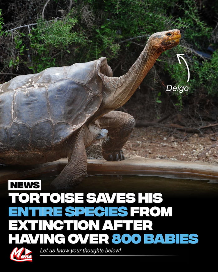 Diego understood the assignment. - 9GAG