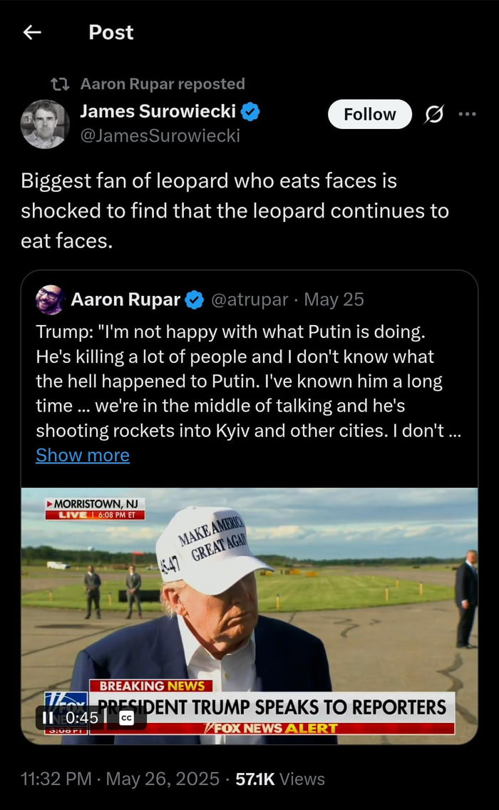 Surprised the leopard ate faces? Shocking - 9GAG