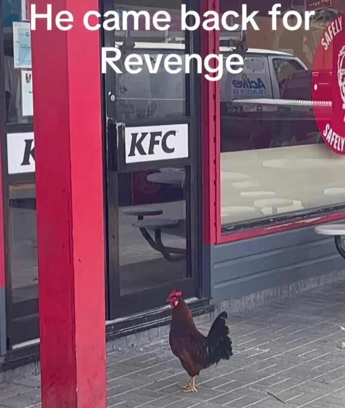 The ultimate revenge mission - 9GAG