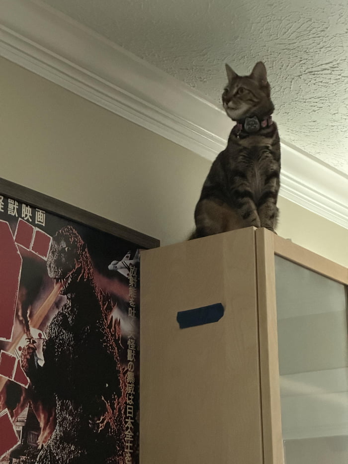 Maddie’s always such a trouble maker. - 9GAG