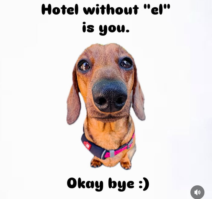 Hotel without el is you. Okay bye :) - 9GAG