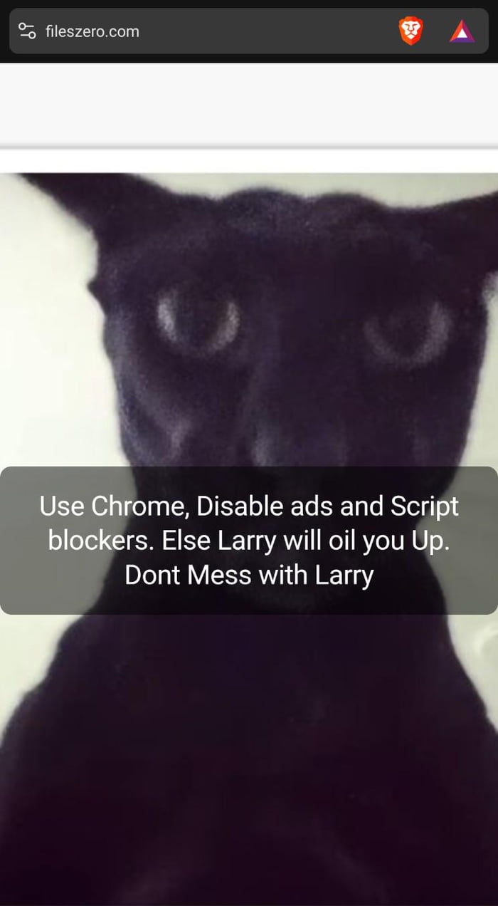 Okay, Larry, I hear you loud and clear - 9GAG