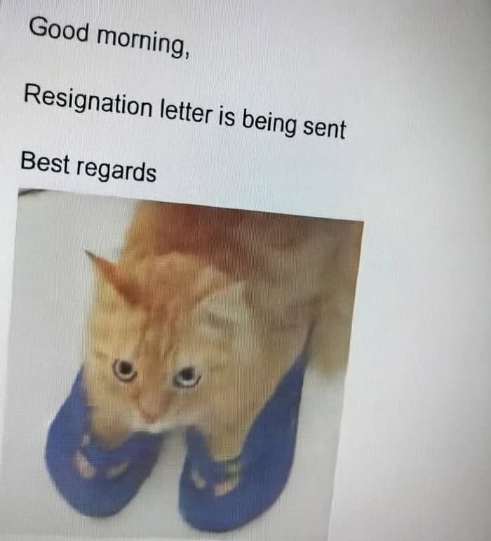 Sorry - 9GAG