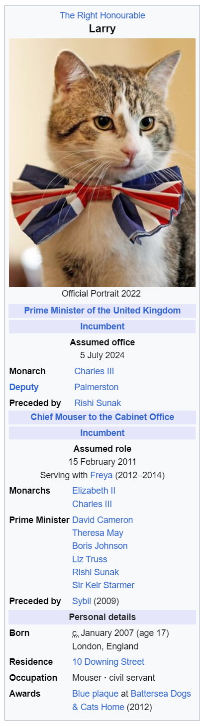 In the aftermath of the UK election and during the transition, one cat was in charge - 9GAG