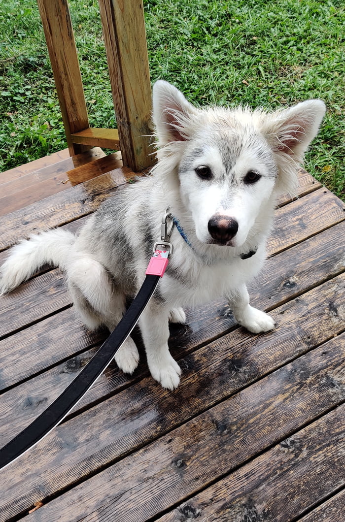 She got rained on. - 9GAG