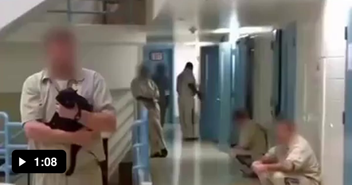 They should do this program in every prison. Allowing prison inmates to ...