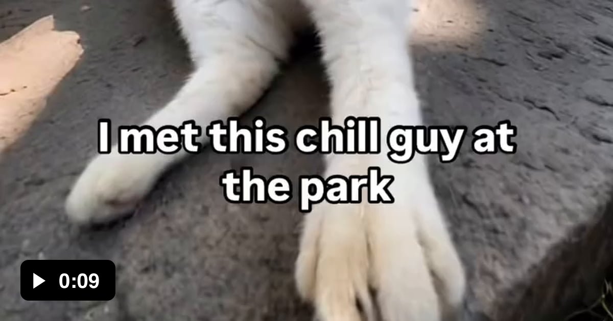 Chillin' be easy - 9GAG